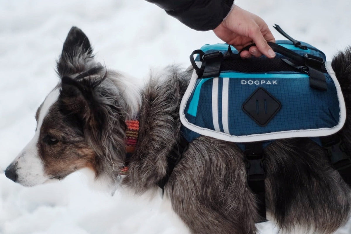 Dog Backpack Design: Less Volume = More Adventure – DOGPAK