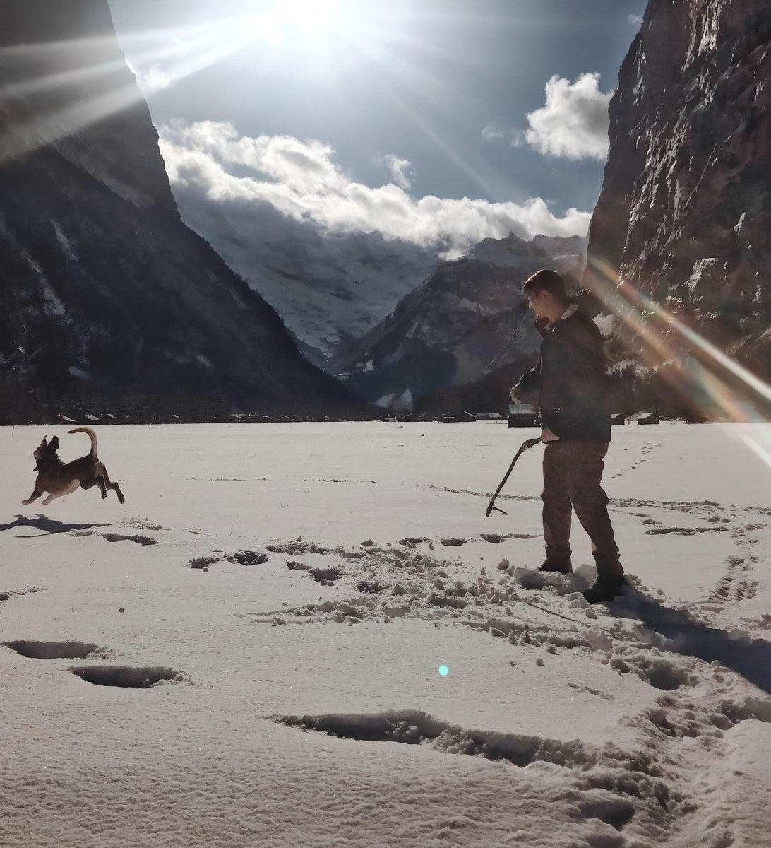 Capturing Canine Adventures: Your Ultimate Guide to Adventure Dog Phot ...